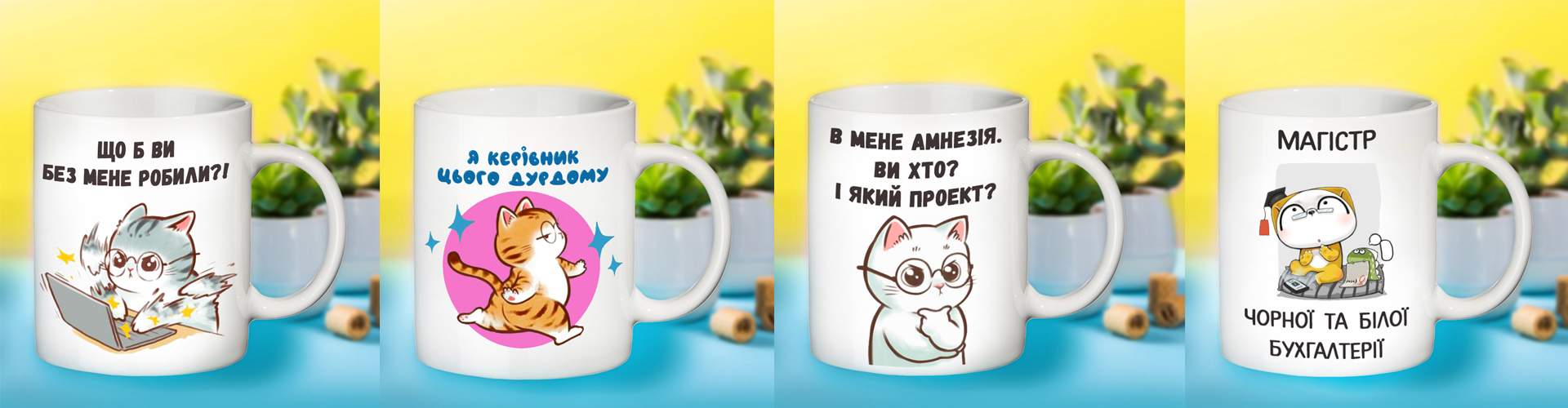 Головна / IMCAT